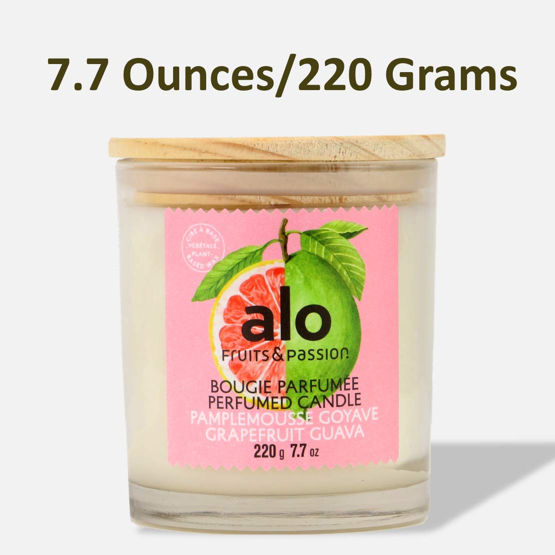 Fruits & Passion Cucina Coriander and Olive Tree Perfumed Plant Based Wax Candle 7.7 Ounces