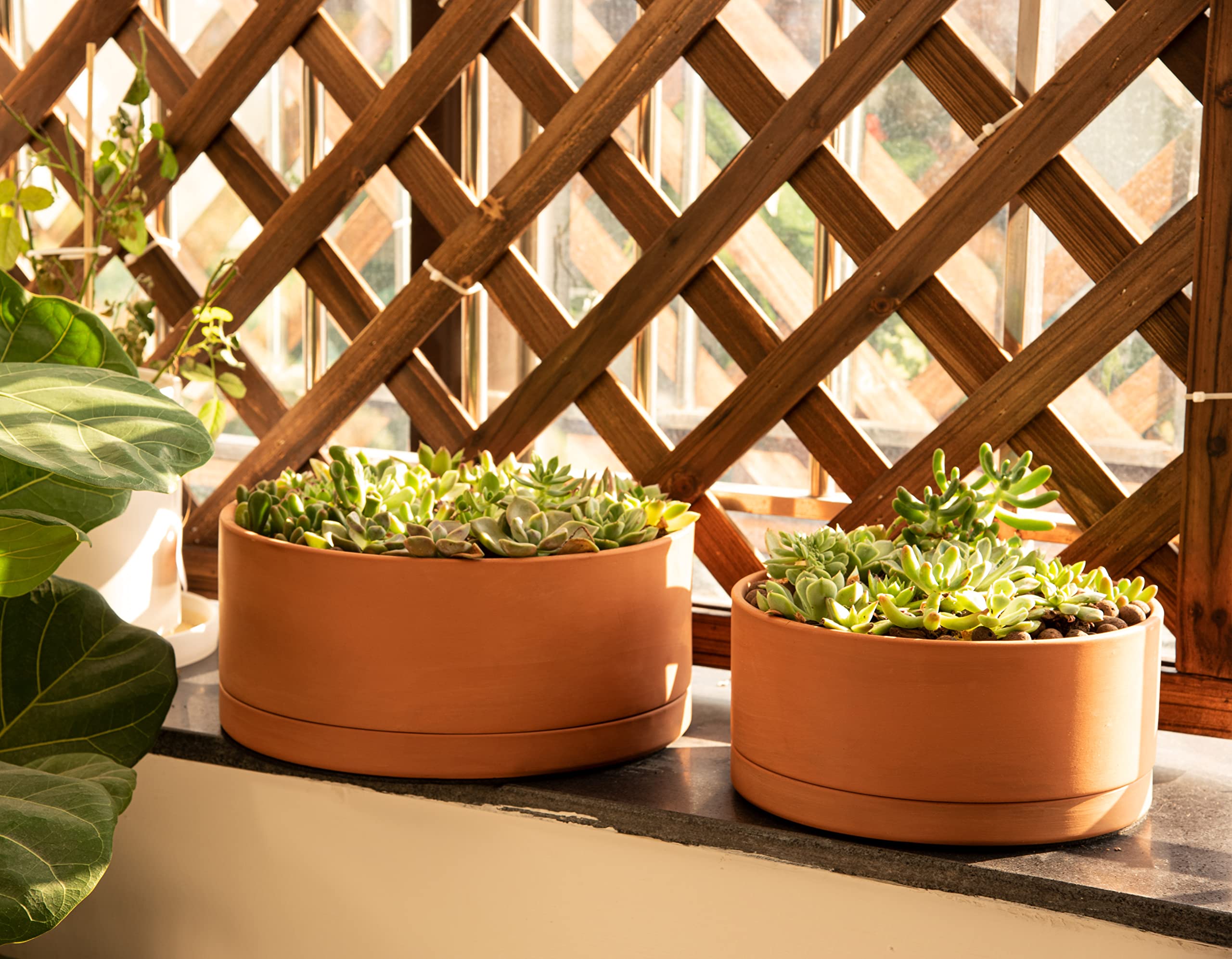 D'vine Dev 10 Inch Succulent Terracotta Shallow Pot with Drainage Hole and Saucer, Round Cylinder Planter Pot for Plant Flower, 40-B-L-10-1