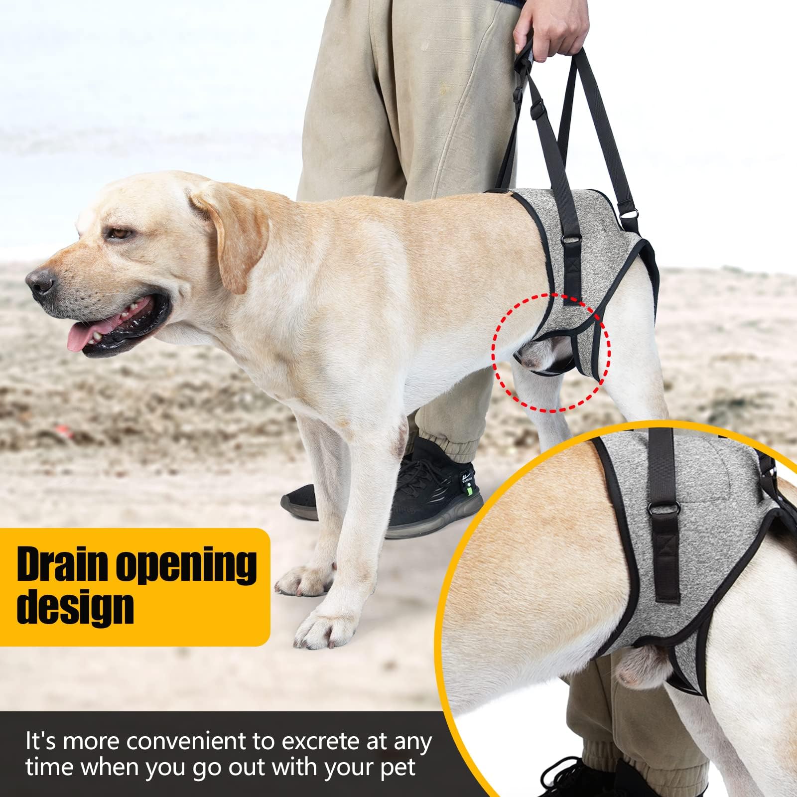 HDKUW Dog Lifting Harness,Dog Hind Legs Support Strap, Pet Portable Recovery Walking Training Lift Strap with Handle for Elderly Injured Amputation Disabled Dogs (XL)