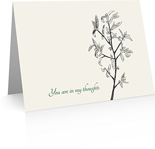 You Are In My Thoughts - Sympathy Cards - Condolence Cards (12 Cards and Blank Envelopes)