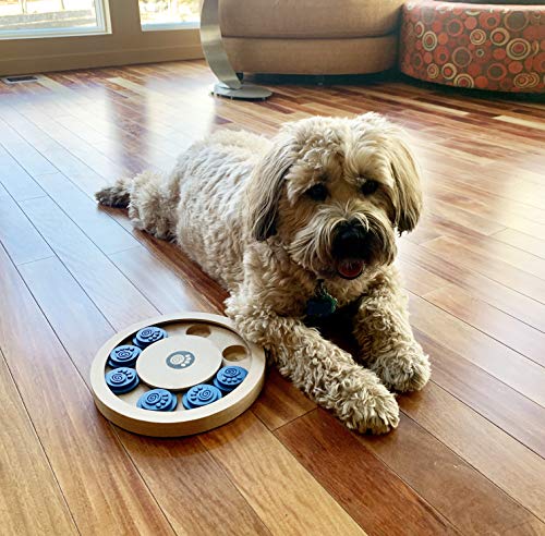 PetRageous 13005 Thinkrageous Interactive Intermediate Level Puzzle Piece Pet Toy Measures 9.84-Inch for Dogs and Cats and Ages, Blue