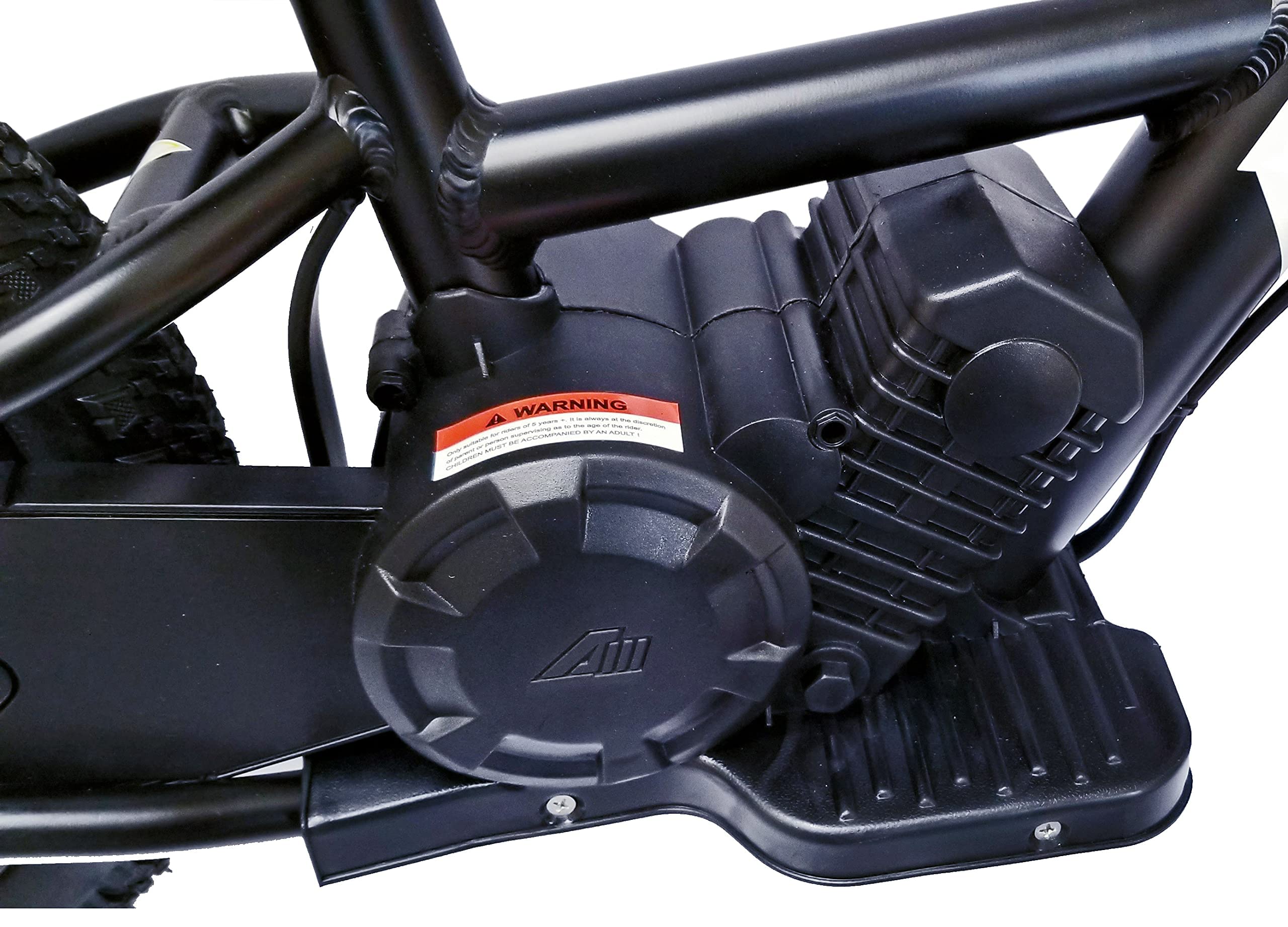 BROC USA Ebike for Kids, 16 Inch 24V Battery Operated, Black