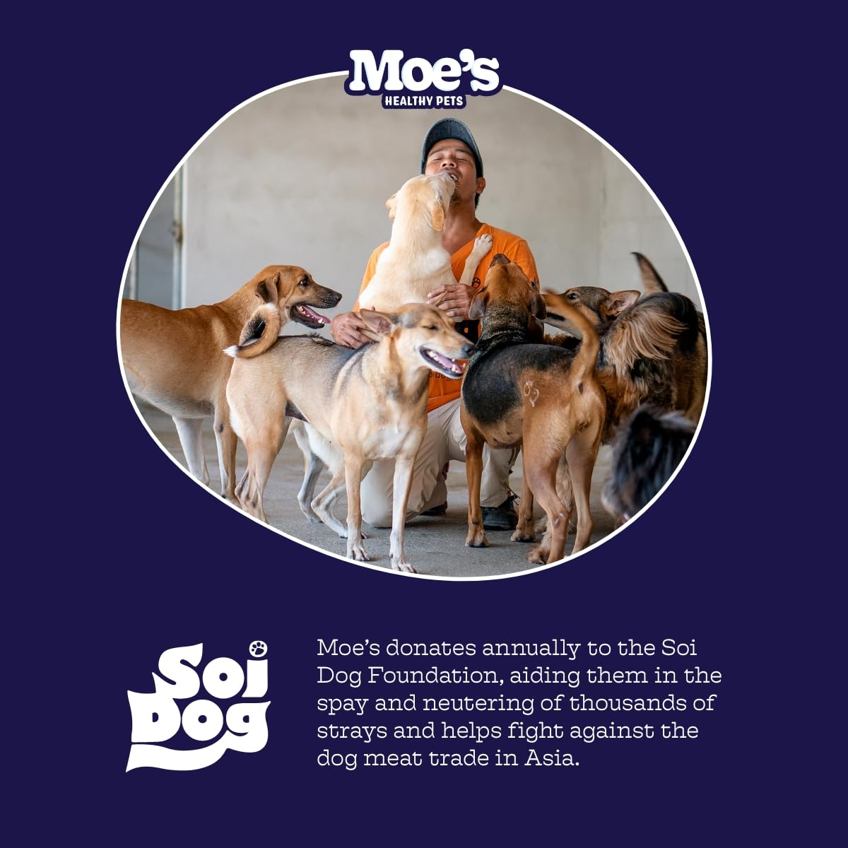 Moe's Natural Defense Bundle - Moe's Immunity Chews & Moe's Multivitamin Chews (90 Count Each)