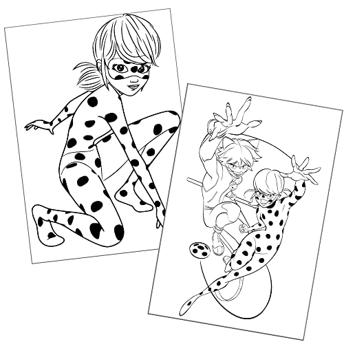 Miraculous Ladybug and Cat Noir - Activity Bundle - Miraculous Ladybug Stickers, Coloring Book, 2-Sided Door Hanger