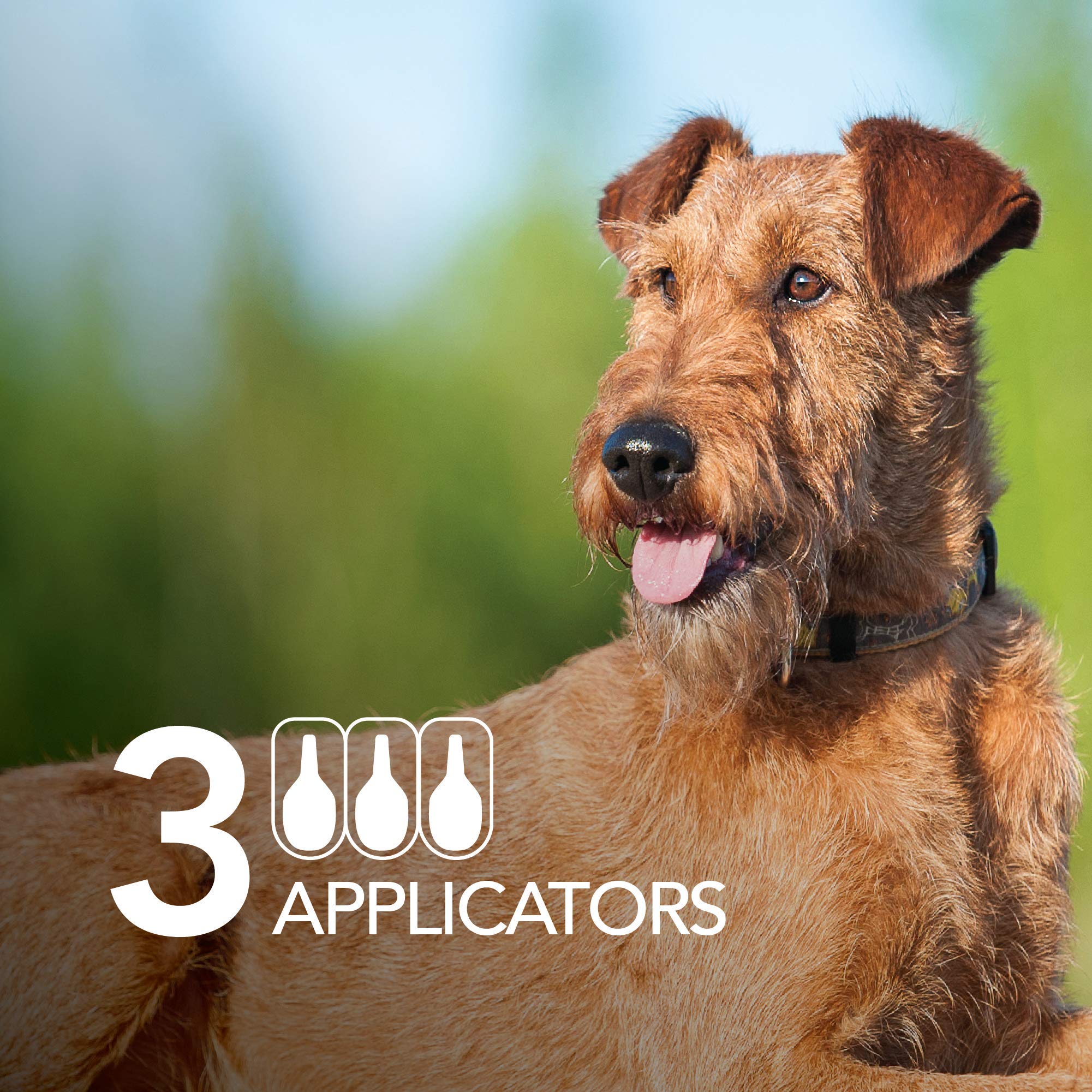 FirstAct Plus Flea Treatment for Dogs, Medium Dogs 23-44 lbs, 3 Doses, Same Active Ingredients as Frontline Plus Flea and Tick Prevention for Dogs