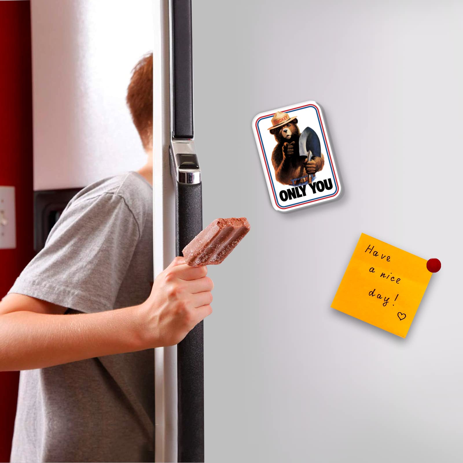 Desperate Enterprises Smokey Only You Refrigerator Magnet - Funny Magnets for Office, Home & School - Made in The USA