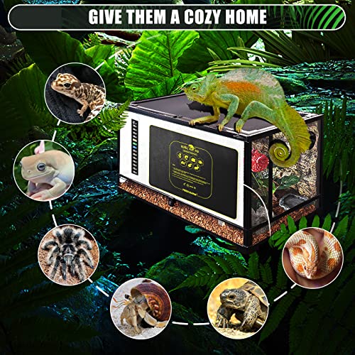 FIEESWARM Reptile Heating Pad Adjustable Temperature Under Tank Terrarium Heat Mat for Hermit Crab, Leopard Gecko, Tortoise, Snakes, Lizards. Reptile Heater with Thermometer (Rectangle)
