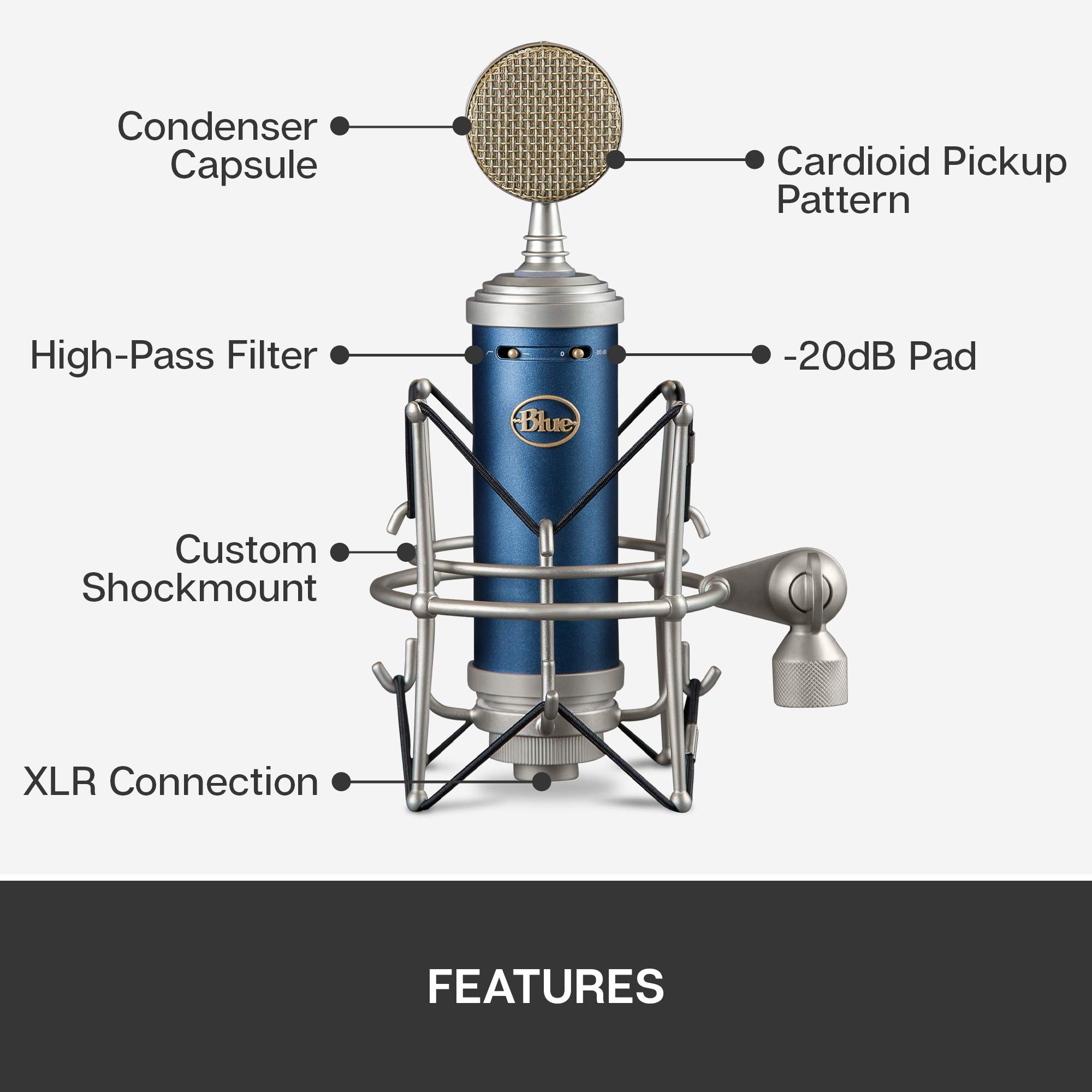 Blue Microphones Bluebird SL Large-Diaphragm Condenser Microphone (Renewed)