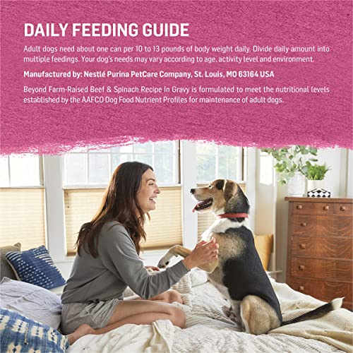 Purina Beyond Farm-Raised Beef and Spinach in Gravy Grain Free Wet Dog Food - (12) 12.5 oz. Cans