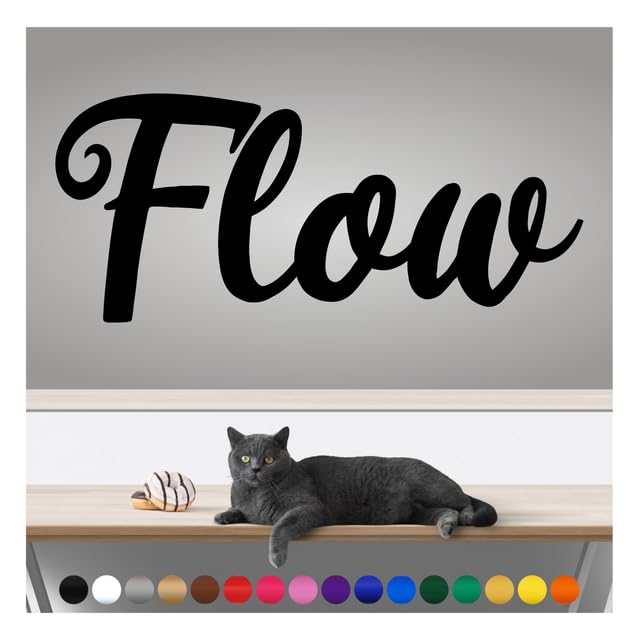 Transform Your Walls with Professional Grade, Outdoor Weatherproof Vinyl Stickers - Happy Sunday - UV Resistant, Made in The USA! Inspirational Words: Flow: 14 Inch, Satin Silver