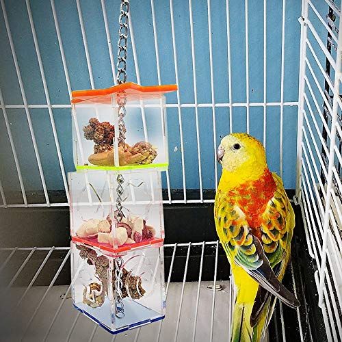 GFRGFH Multilayer Bird Parrot Forage Box Hanging Treat Foraging Toy Transparent Acrylic Food Holder Easy to Use