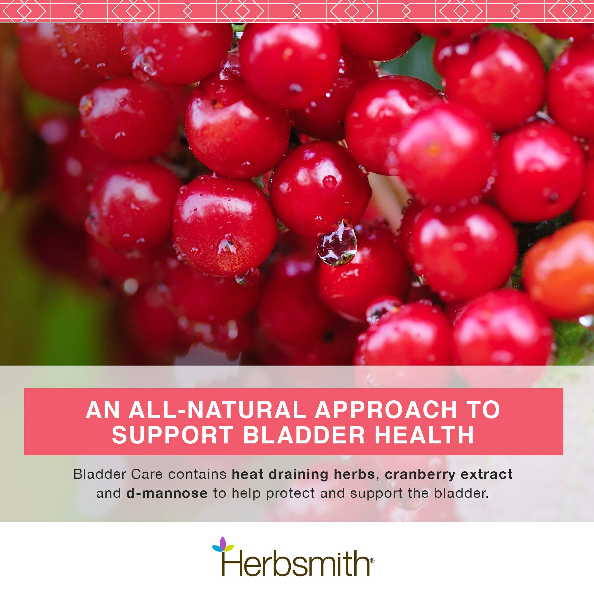 Herbsmith Bladder Care- Bladder Support for Cats- Urinary Tract Cat Supplement – Maintains Kidney Health for Cats– 75g