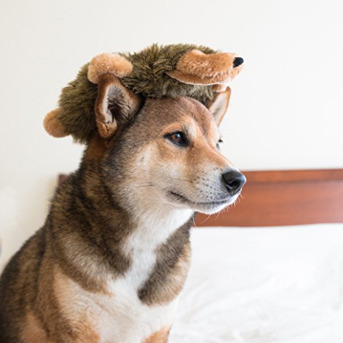 ZippyPaws - Loopy - No Stuffing Squeaky Plush Dog Toy - for Small and Medium Dogs - Hedgehog