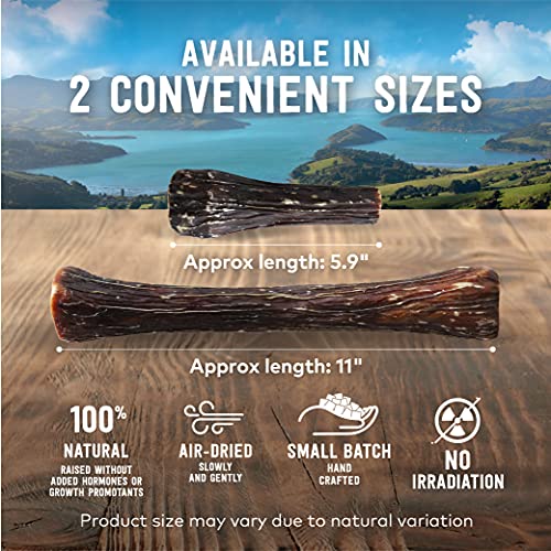ZIWI Venison Deer Shank – Dog Bone Chew – All Natural, Air-Dried, 2 in 1 Bone Treat Wrapped in Beef Esophagus (Half Shank)