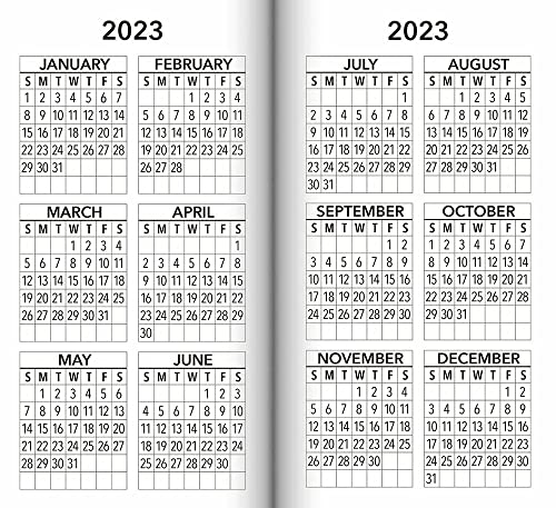 Big & Bright Large Print | 2023-2024 3.5 x 6.5 Inch Two Year Monthly Pocket Planner Calendar | BrownTrout | Easy to See Large Font