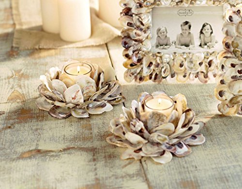 Mud Pie 498B002 Oyster Shell Votive Holder 3 1/4" x 7"