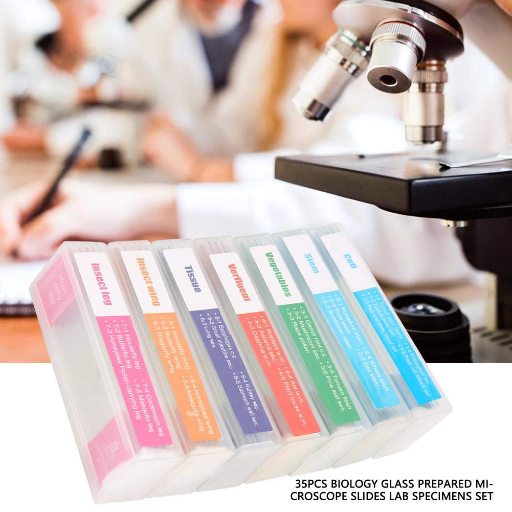 Hilitand 35pcs Biology Microscope Slide Glass Biological Prepared Slide Seven Type Biology Slide Lab Specimens Set