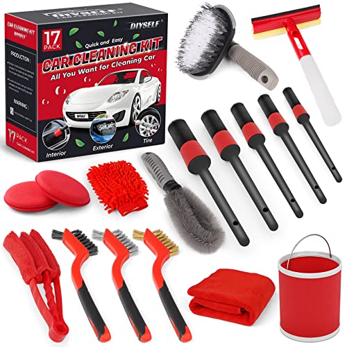 DIYSELF 17-Piece Professional Car Detailing Kit, Detailing Brush Set, Car Interior Detailing Kit, Car Detailing Brushes for Auto Repair Shop, Home