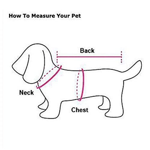 Dog Raincoat Dog Clothes Waterproof Clothing Transparent Rain Jacket Small Medium Large Dogs Clothes Outdoor Pet Jacket