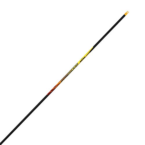 Black Eagle Renegade Dozen Shafts-350 Spine -.005 +/-