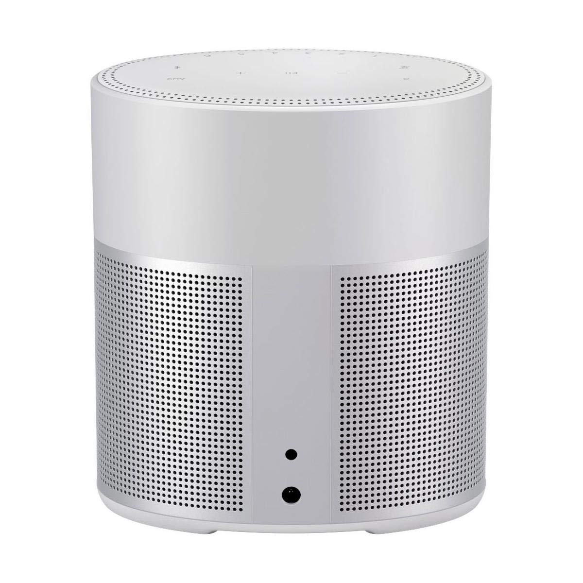Bose Home Speaker 300: Bluetooth Smart Speaker with Amazon Alexa Built-in, Silver