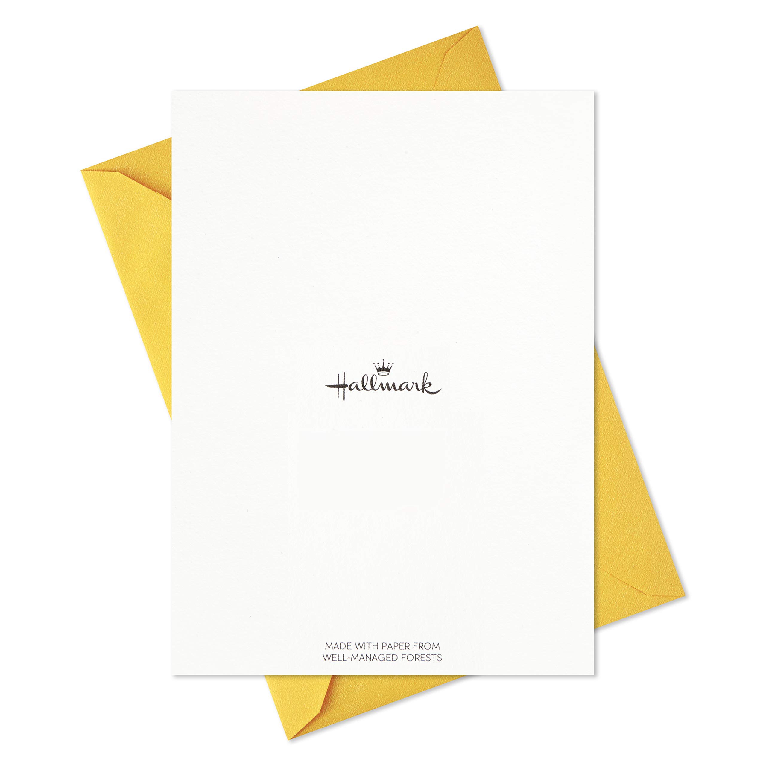 Hallmark Birthday Cards for Kids Assortment, Shark and Unicorn (12 Cards with Envelopes)