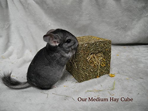 Rosewood Naturals ‘I Love Hay’ Forage Cube, Treat & Toy for Small Animals, Large