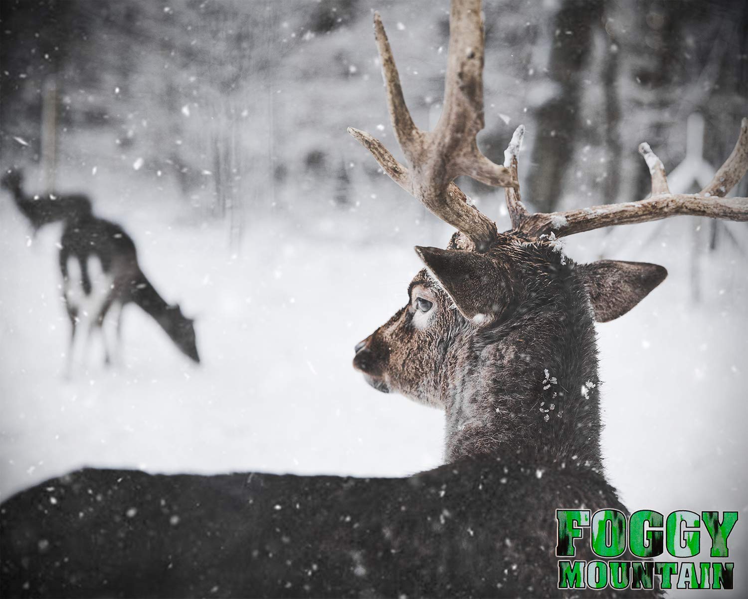 Foggy Mountain Scrape and Rattle Buck Attractant - 2 oz Bottle