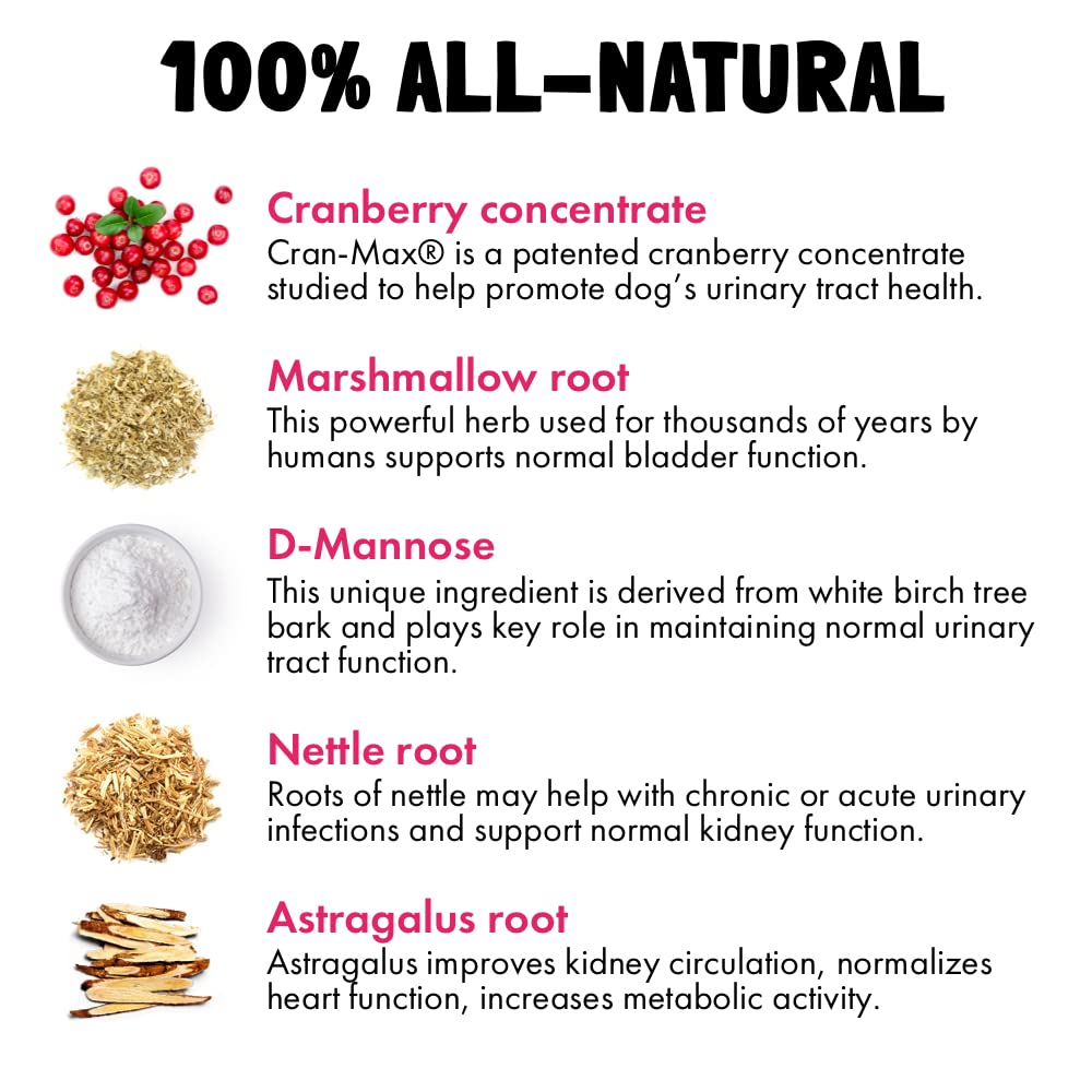 Cranberry UTI Chews for Dogs Bladder Suppot + D-Mannose Supports Kidney Urinary Tract 120 Chews and Probiotics for Dogs Natural Digestive Enzymes Prebiotics for Allergy 120 Chews