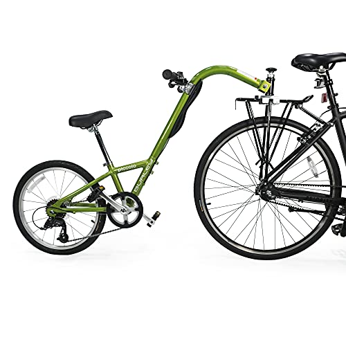 Burley Trailer Bike