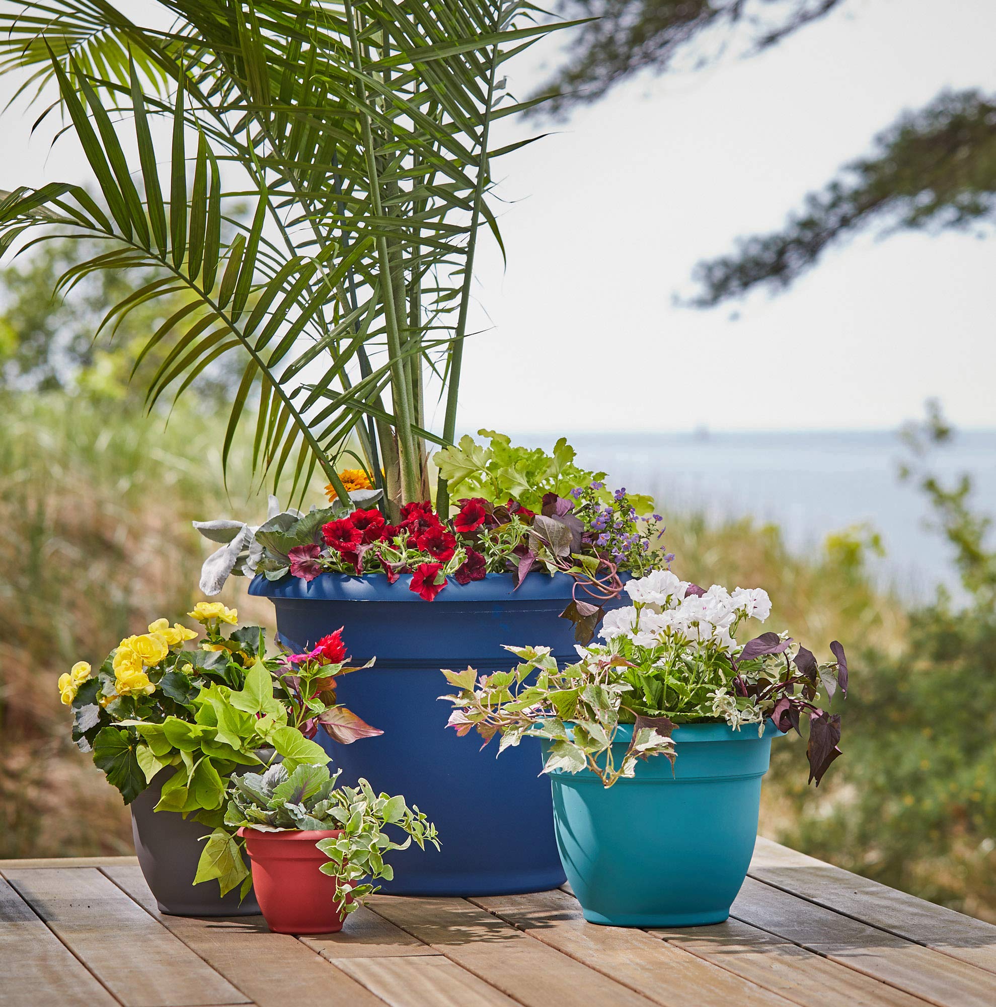 Bloem Ariana Self Watering Planter 8" Classic Blue (AP0833)