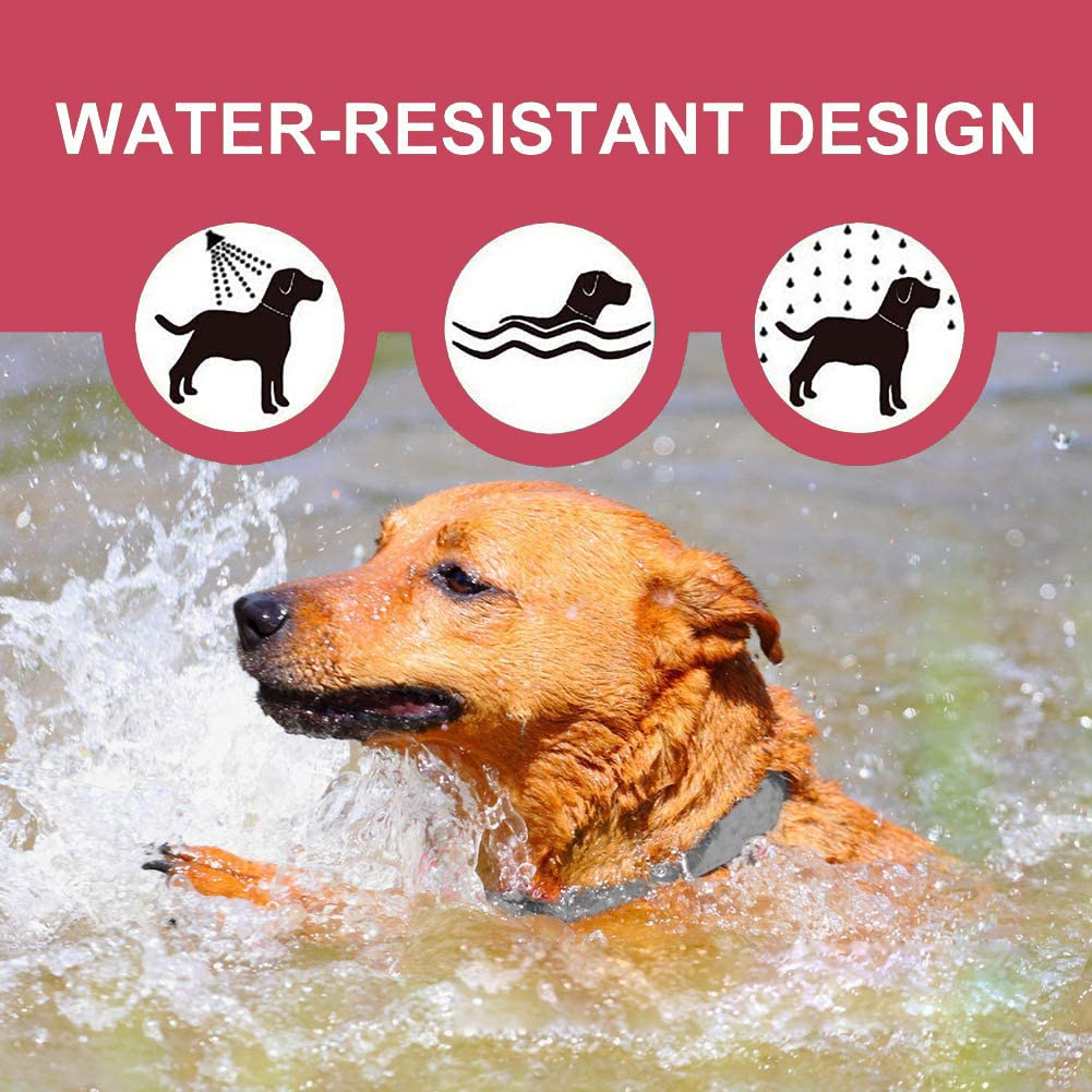 Flea and Tick Collar for Dogs, Flea and Tick Prevention for Dog, 27 Inch, 8 Month Protection, 1 Pack