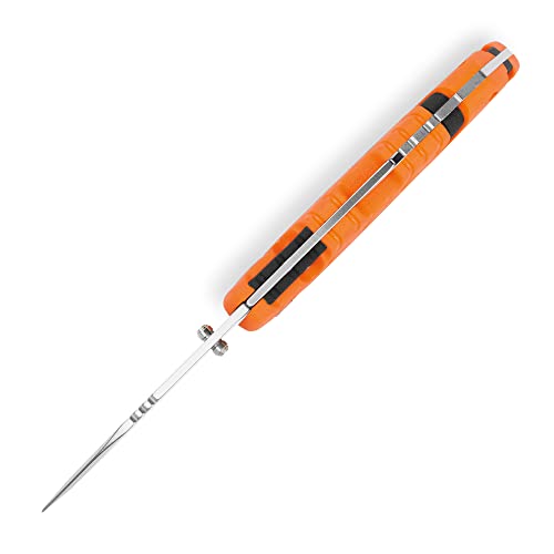 Buck Knives 659 Pursuit Pro Large Folding Hunting Knife, 3-5/8" S35VN Stainless Steel Blade, Polyester Sheath Included