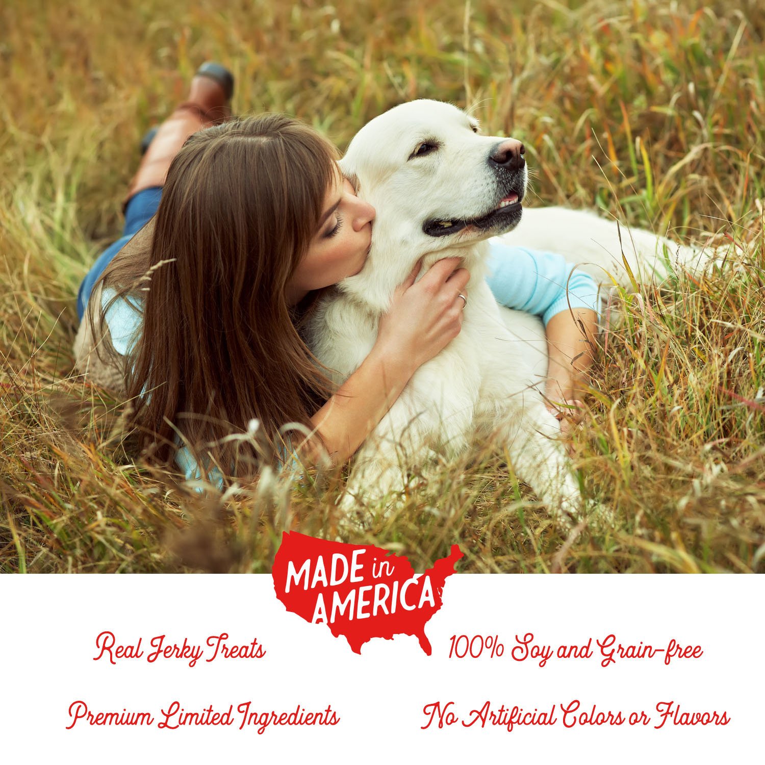 Farmland Traditions USA Made 3 lbs. Turkey, Sweet Potato, Cranberry Soft Jerky Bite Dog Treats