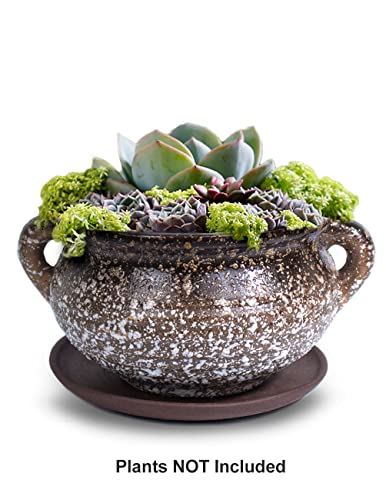 Dahlia Vintage Speckle Ceramic Succulent Planter/Plant Pot/Flower Pot/Bonsai Pot, C