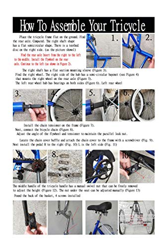 Bruce & Shark Adult Folding Tricycle Bike 3 Wheeler Bicycle Portable Tricycle 20" Wheels Blue