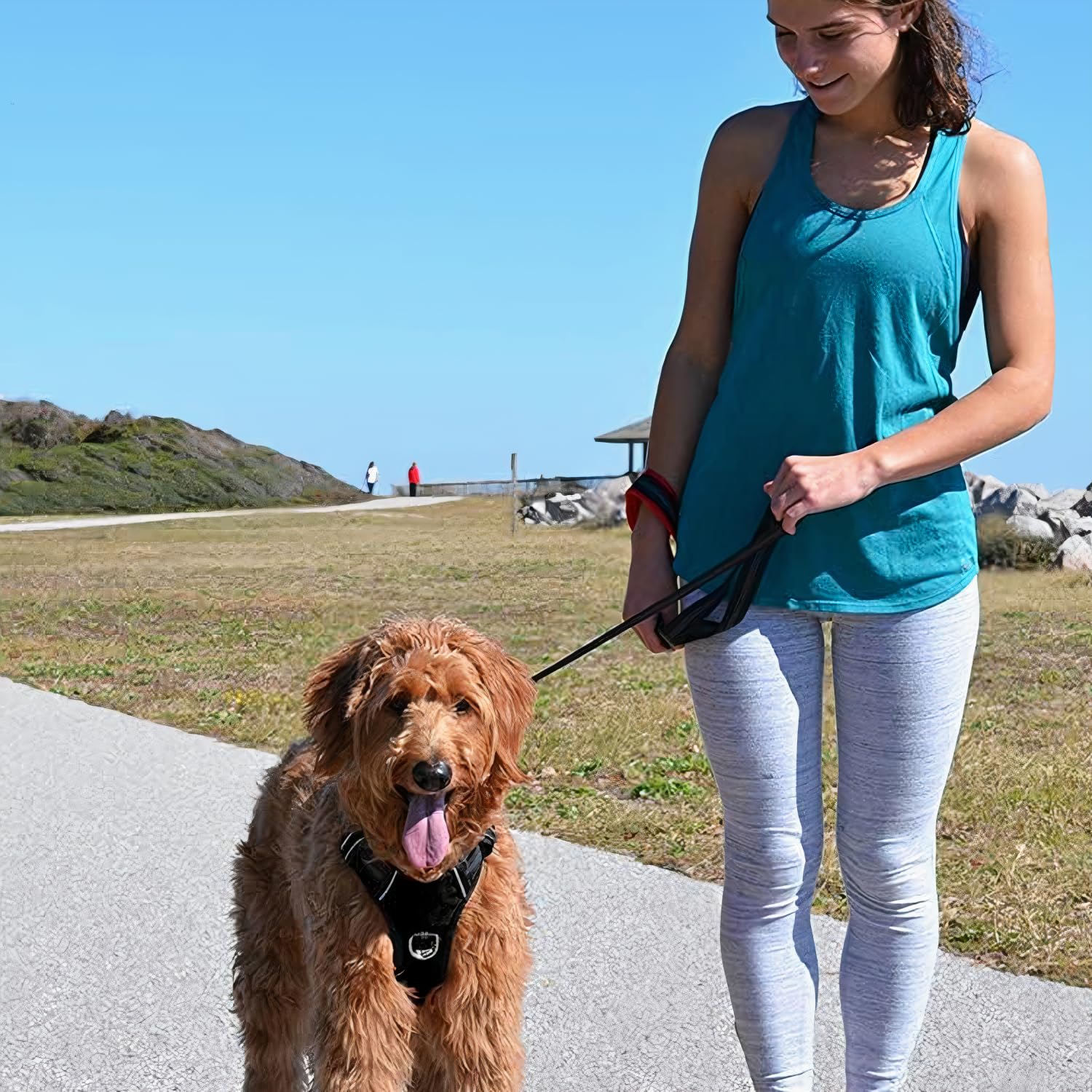 Black Rhino - The Comfort Dog Harness with Mesh Padded Vest for Small - Large Breeds | Adjustable | Reflective | 2 Leash Attachments on Chest & Back - Neoprene Padded Training Handle (Medium, Red/Bl)