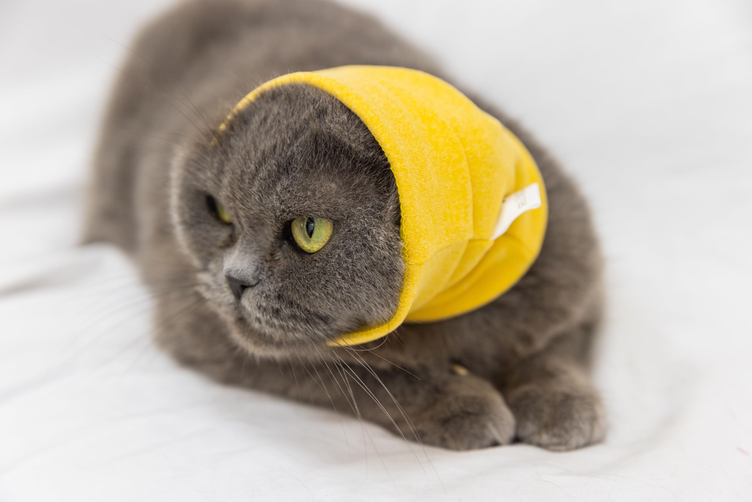 DDFS Cat Hematoma Ear Wrap,Cat No Flap Ear Wrap Anxiety & Stress Relief - No Flap Ear Wrap for Cats Yellow S