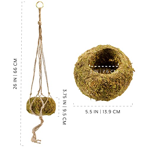 Esterno Kokedama Hanging Planters (Set of 3, 5.5in Diameter); Japanese Moss Ball Plant Holder for Ferns, Succulents, Orchids Etc