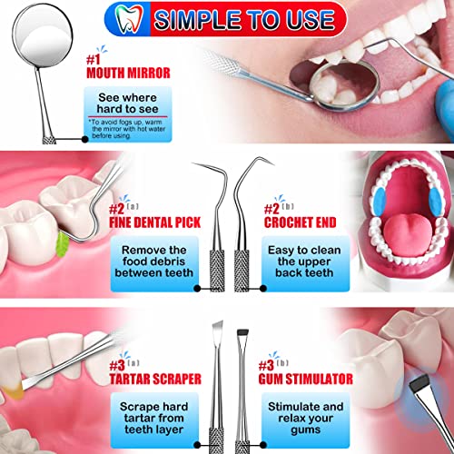 Dental Tools, Teeth Cleaning Tools, Professional Dental Hygiene Kit, Plaque Remover for Teeth, Stainless Steel Tooth Scraper Plaque Tartar Cleaner, Dental Scaler - with Case