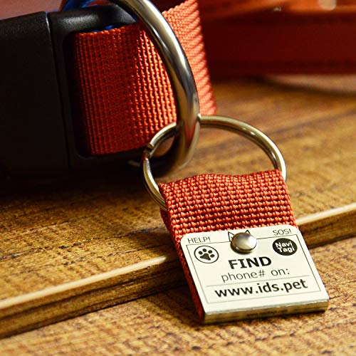 NaviTagi Pet ID Tag for Large and Extra Large Dogs. Personalized w/ID Number. Reliable Design, Stainless Steel Ring. 2 Phones Updatable Online, Name Safe (1 Tag - L)