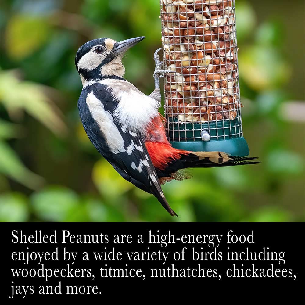 Desert Valley Premium Shelled Peanuts - Wild Bird - Wildlife Food, Squirrels, Cardinals, Jays & More (5-Pounds)