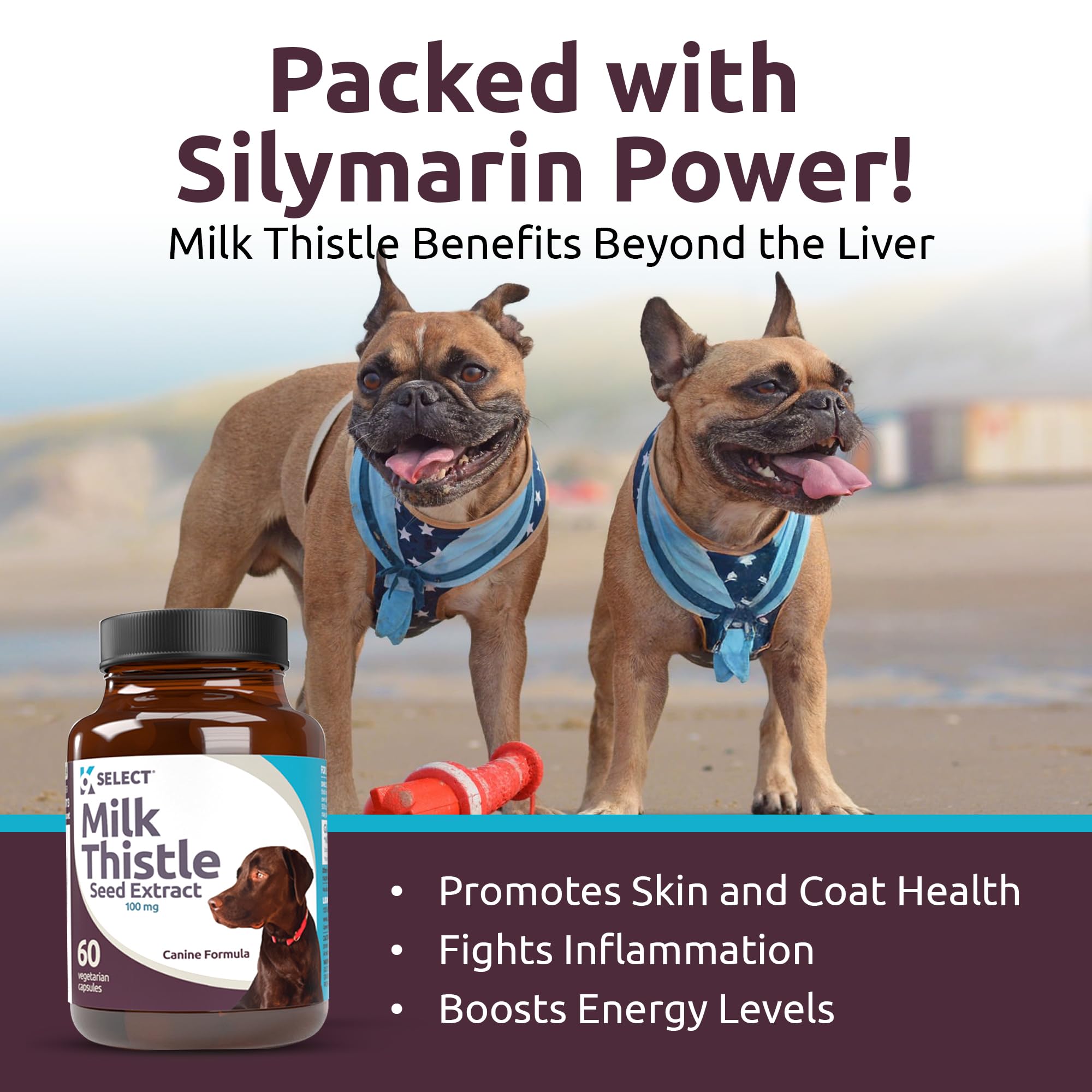 K9 Select Milk Thistle for Dogs, 100mg - 60 Vegetable Capsules - Canine Liver Health Milk Thistle Supplement - Liver Supplement - Liver Support Supplement - Milk Thistle Herbal Supplements