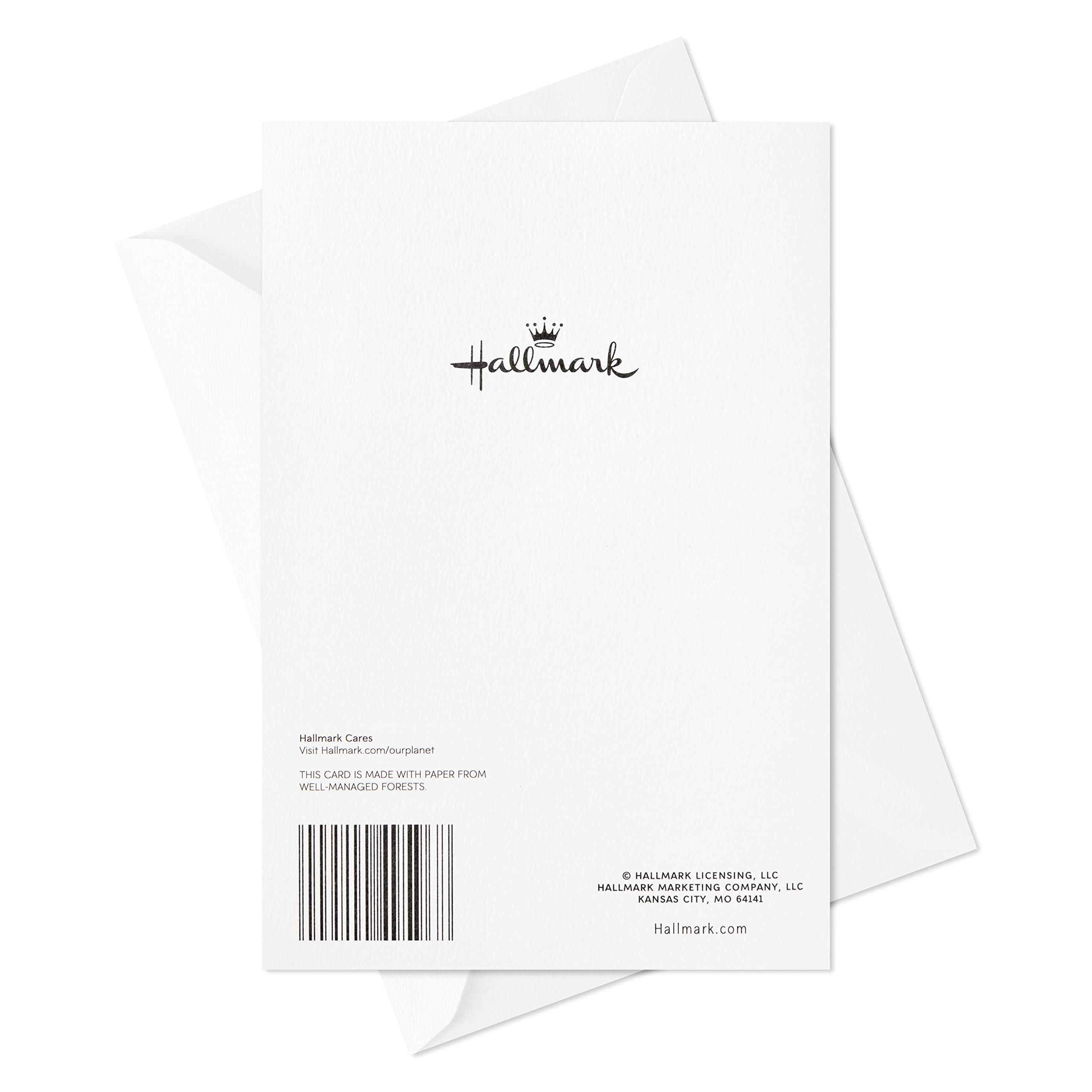 Hallmark Birthday Card (Live Life to the Fullest), Snowy Cupcakes (0499RZB1160)
