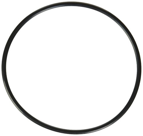 Everpure EVERPURE-EV3071-19 4 inch Water Filter O-Ring