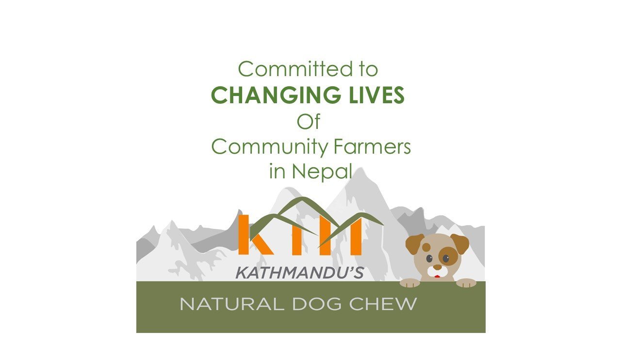 KATHMANDU'S - Authentic Himalayan Cheese Dog Chews - Large, 1-Count - for Improved Dental Hygiene & Protein-Rich Nutrition, No Preservatives