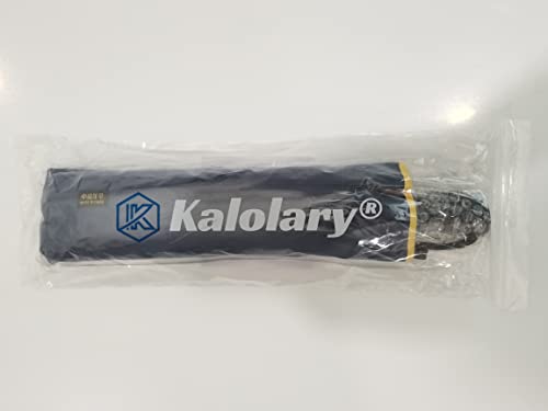 Kalolary Extra Large Golf Umbrella Automatic Open Folding Umbrella Windproof Compact Large Double Canopy Umbrella Travel Folding Umbrella Strong Oversized Rain Umbrellas for Home Family Use (Blue)