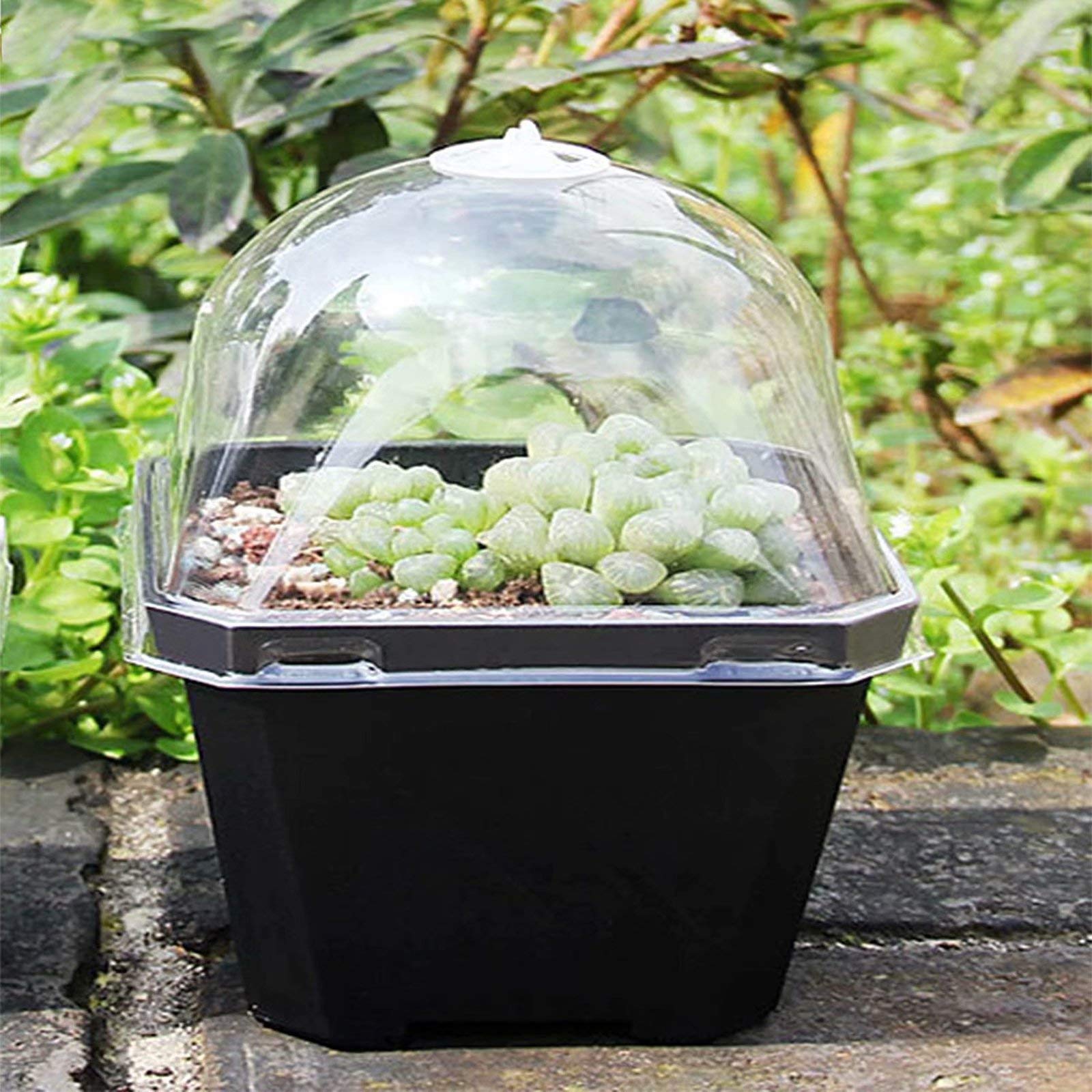 Brave Tour 10 Sets 4 inch Plant Nursery Pots with Humidity Dome, Planting Pots Seedling Trays with Plastic Dome,Plant Container Cups with Vented Domes and Drain Holes