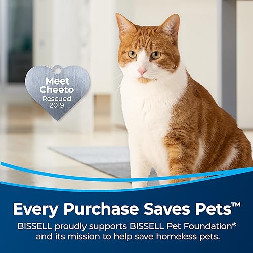BISSELL® Limited Edition Spiced Apple Multi-Surface Formula 2-Pack, Large