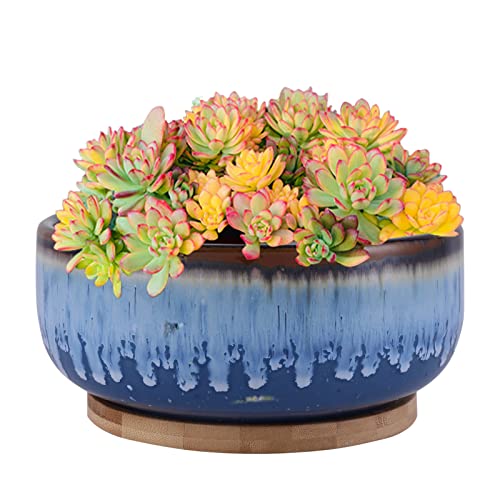 EPFamily 8 Inch Succulent Planter Pot with Drainag and Saucer Shallow Bonsai Pot for Indoor Plants Blue